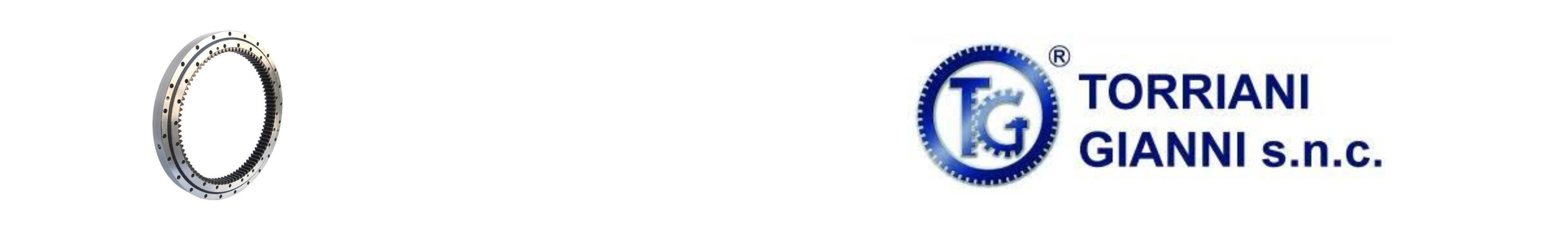 TORRIANI GIANNI S.N.C. Bearing